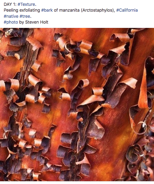 Design Concepts with Valerie Goodwin | SAQA - Studio Art Quilt Associates