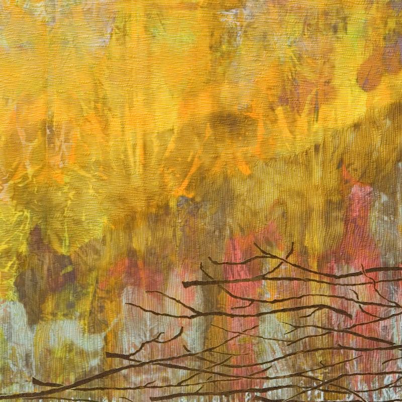 Browse the Collection | SAQA - Studio Art Quilt Associates