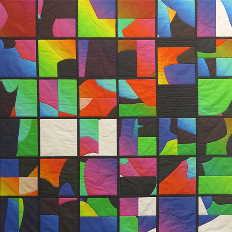Regional Exhibitions | SAQA - Studio Art Quilt Associates